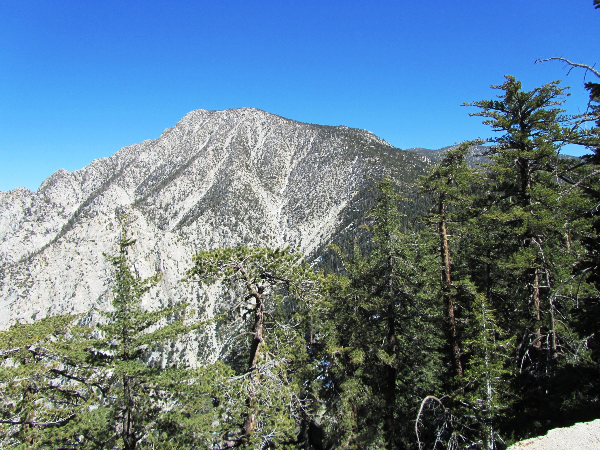 PCT Day 14: Fuller Ridge - Purple Haze Hikes