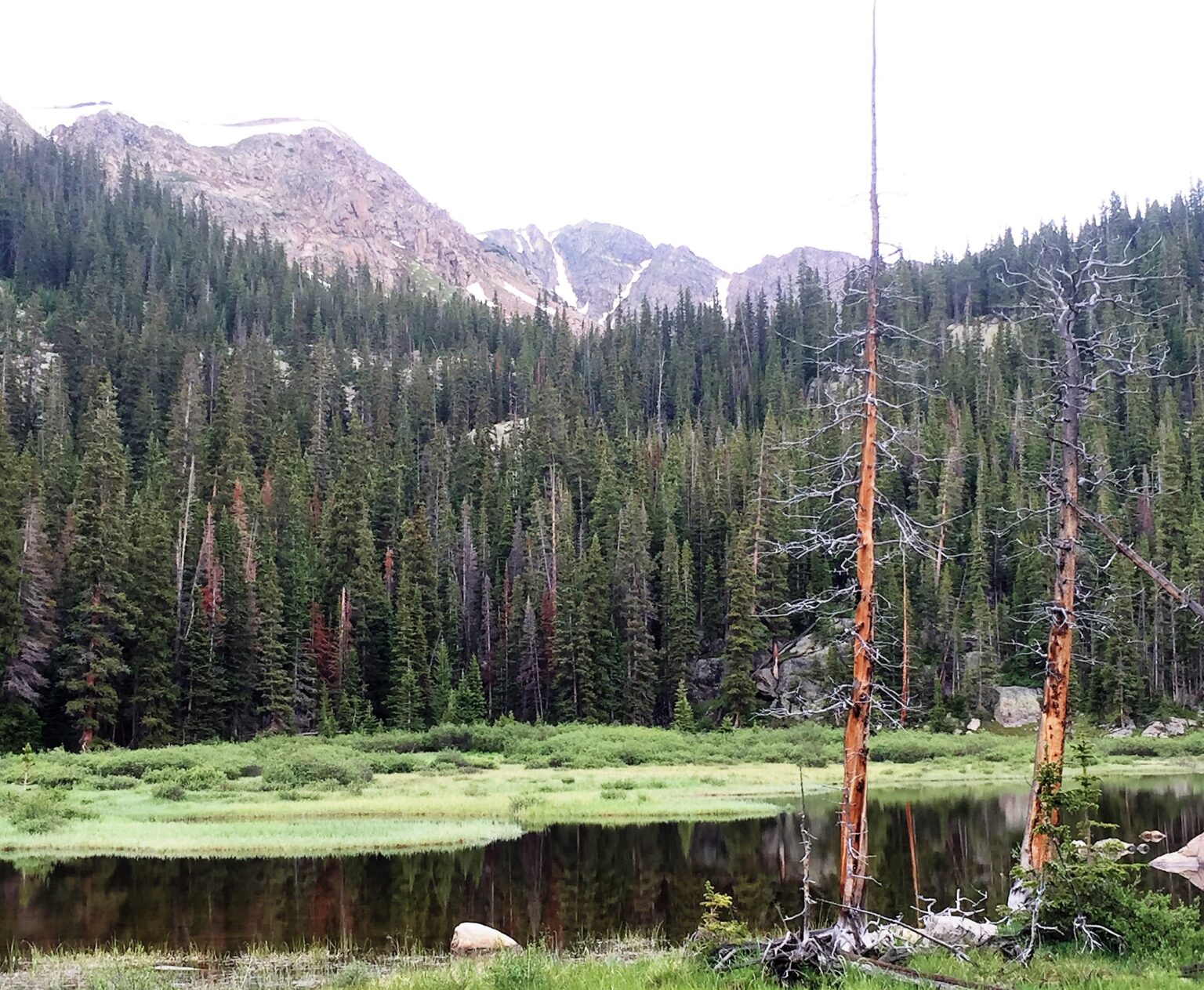 CDT Day 64: Holy Cross to Tennessee Pass - Purple Haze Hikes