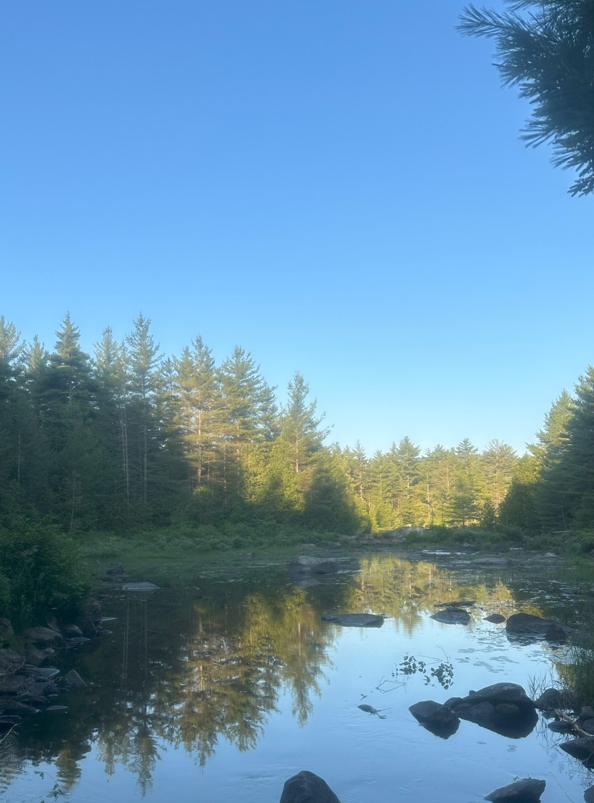 AT Day 149: Onward to Monson ME - Purple Haze Hikes