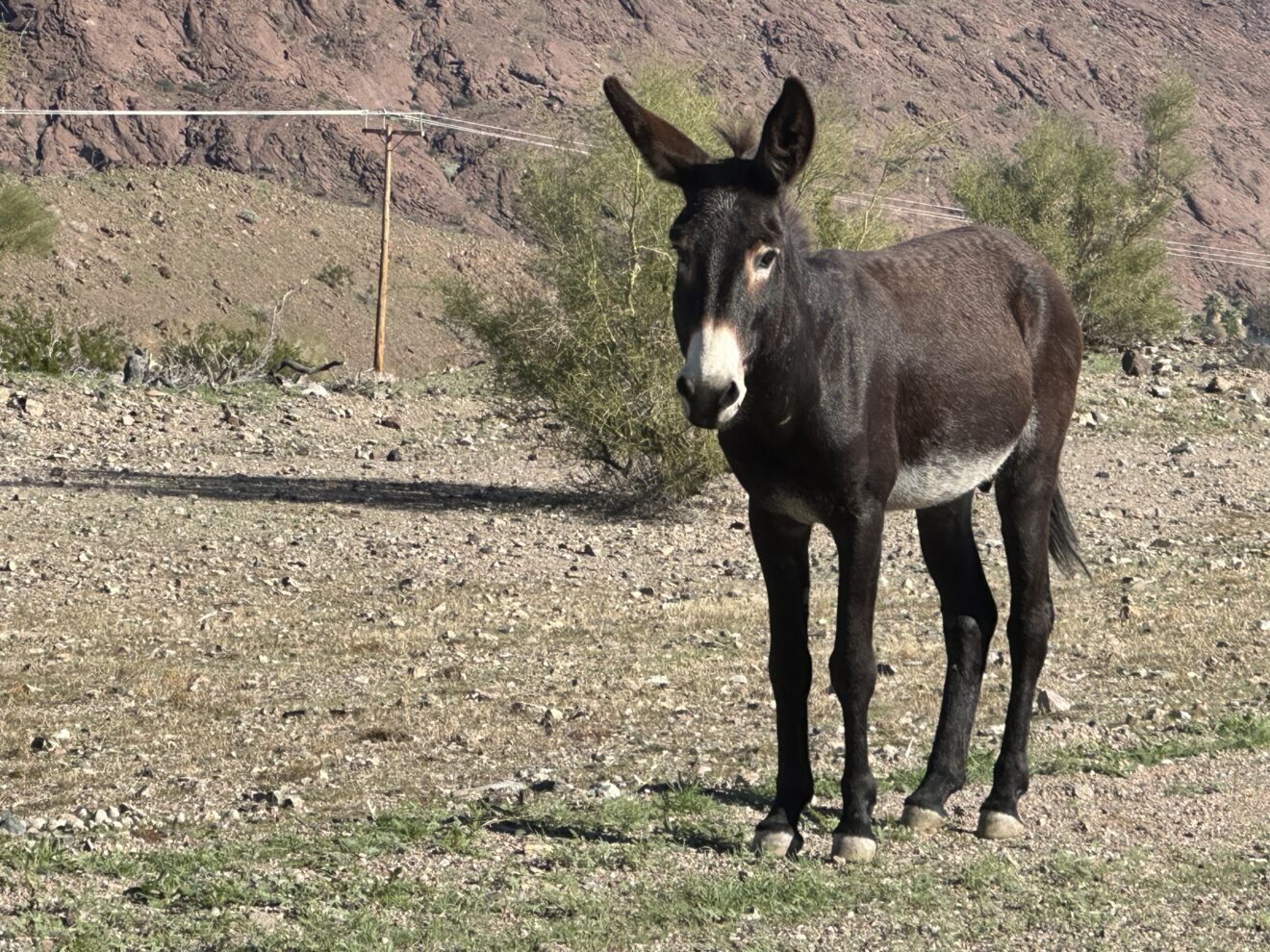 DWTH Caching Trip & Prep - Purple Haze Hikes